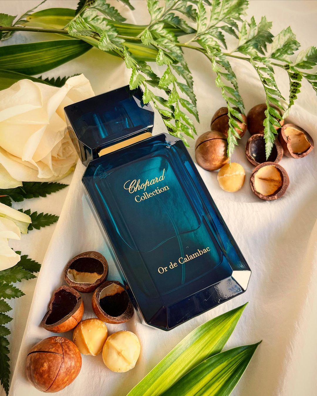 عطر Or de Calambac Chopard من شوبارد - لمحة عطرية | Aromatic Glance
